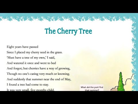 The Cherry Tree By Ruskin Bond Story In Hindi of Class 7 Jasper English ...