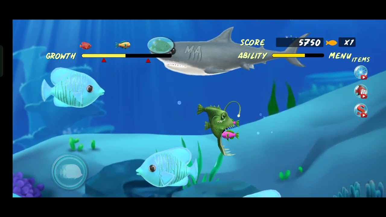 Green Angler fish prey on many small fish ll Freezing Frenzy #fwent ...