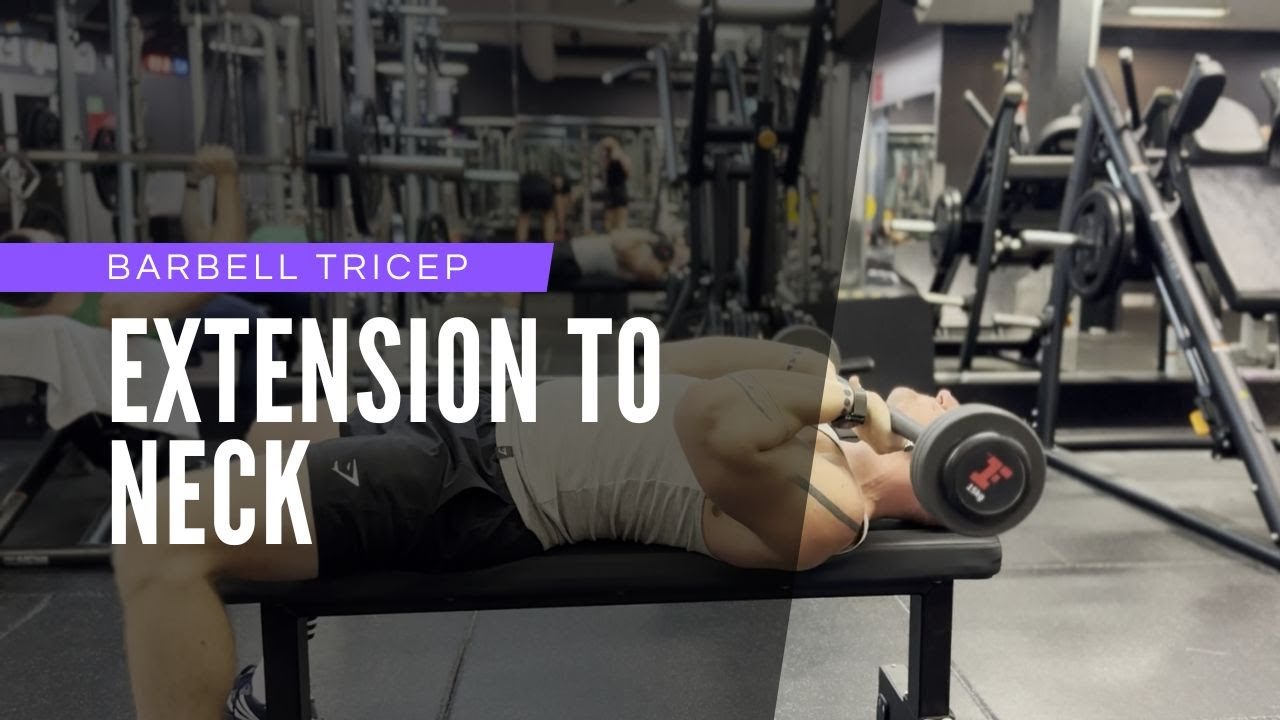 Barbell Tricep Extension to Neck - YouTube