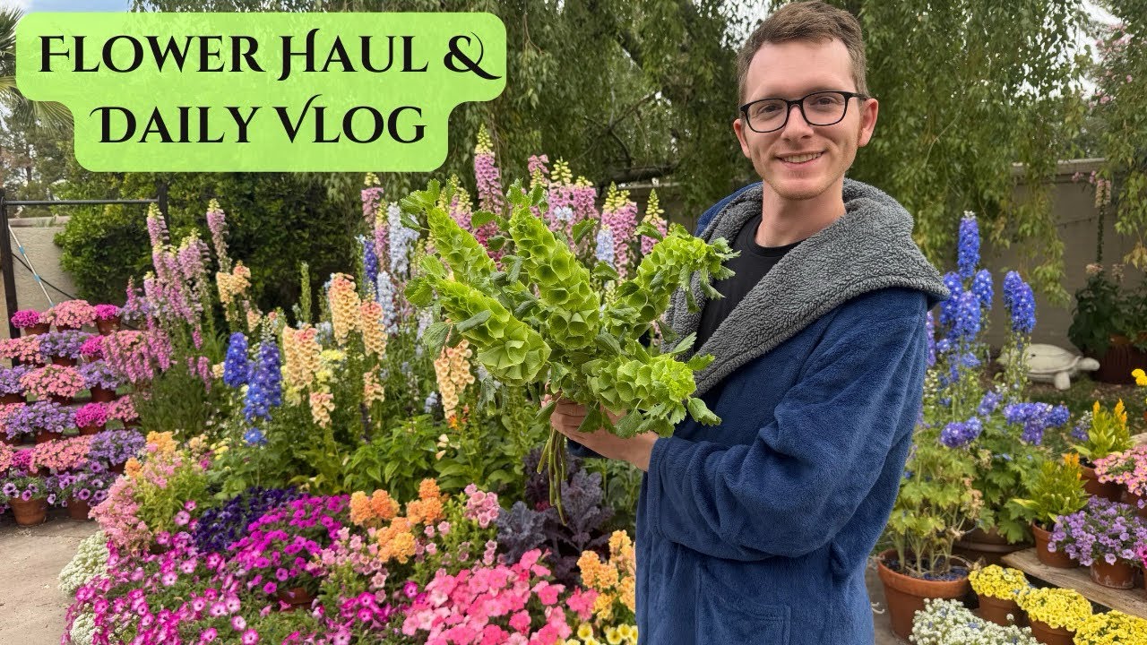 Flower haul & daily vlog - YouTube