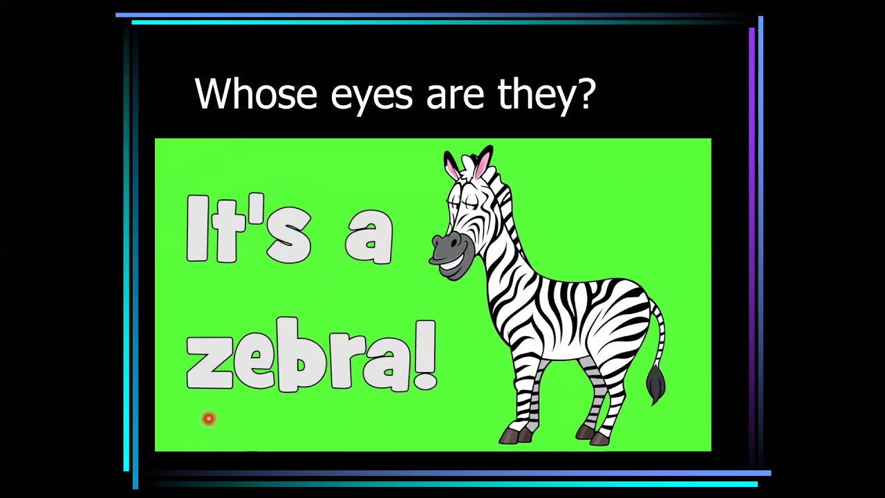 ECD Science Eyes - YouTube