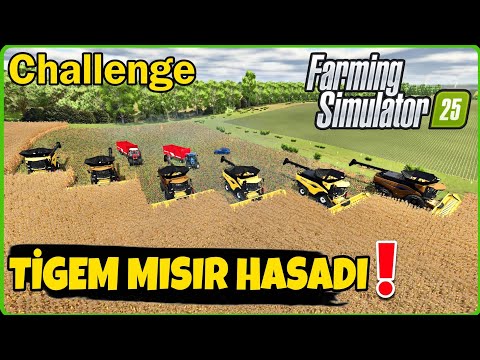 DEVASA MISIR TARLASINI 6 TANE NEW HOLLAND CR11 BİÇERDÖVER İLE HASATLADIK ●  FS25 TİGEM 2