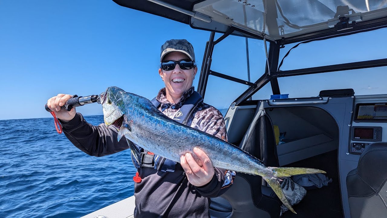 Straddie Dolphin Fish off the FADS, December 2023 - YouTube