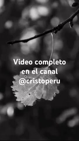 Los sabios procesos de Dios #fe #reflexiondiaria #amor #reflexiones ...