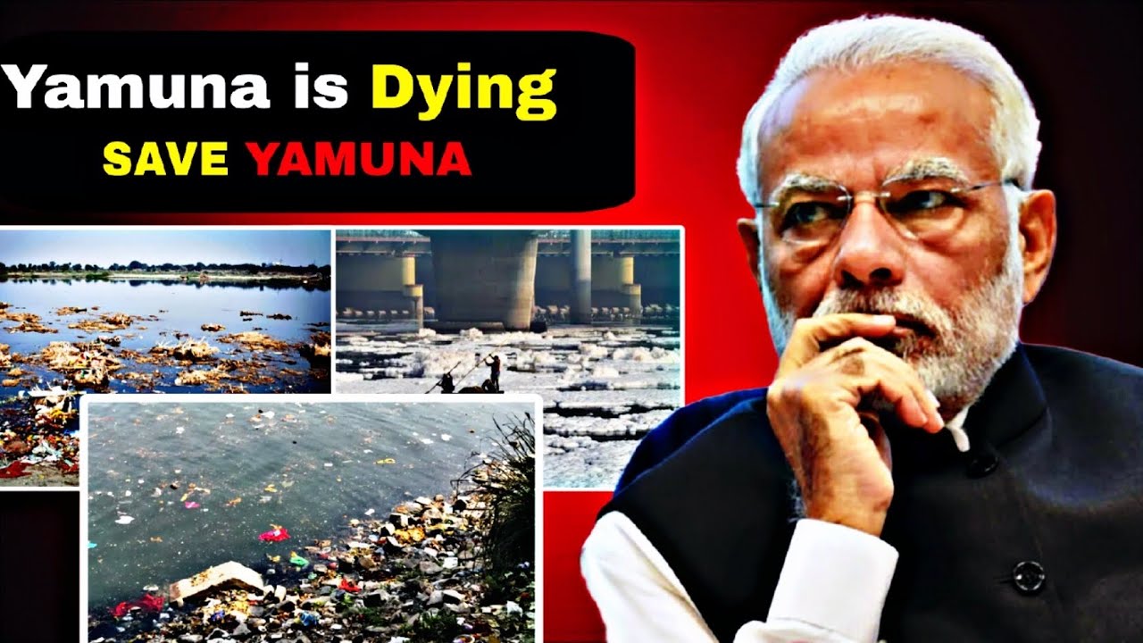 Please save Yamuna River !! | Yamuna is dying | the deep frame - YouTube