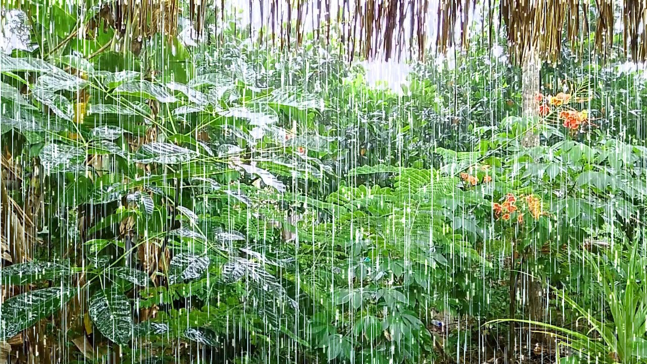 Easy Falling Asleep with Real Rain Sounds | Relaxing sounds - YouTube