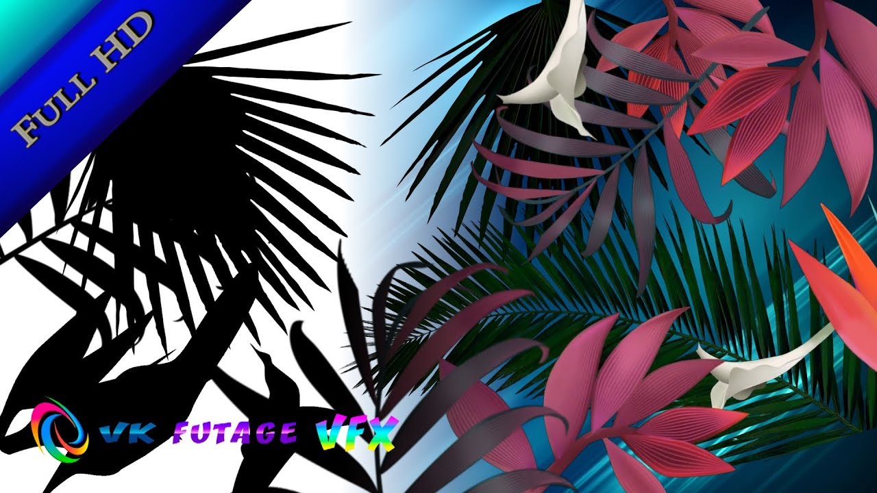 06 Tropical transition (Vignettes) Matte footage - YouTube