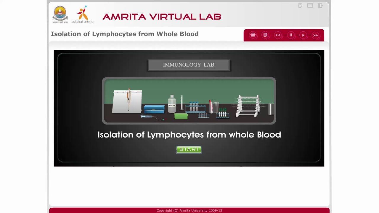Isolation of lymphocytes from whole blood - YouTube