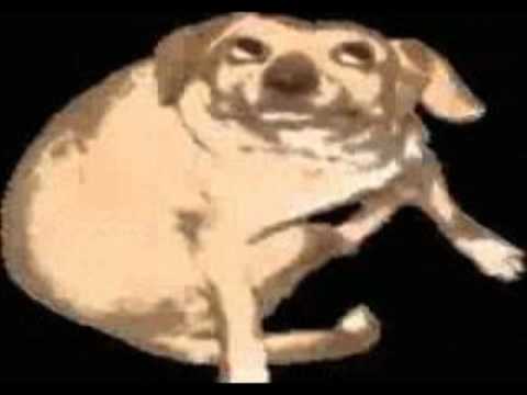 Hurr durr derp derp hurr derp derp song.mov