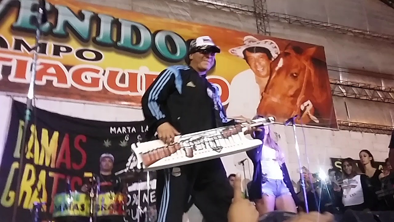 ATR PERRO CUMBIA GATO - YouTube