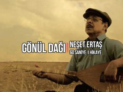Neşet Ertaş - Gönül Dağı Türküsünün Hikayesi (Teliften Dolayı Ses Kaldırılmıştır) #shorts