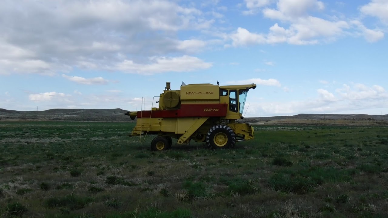 1980 New Holland TR 75 Combine - YouTube