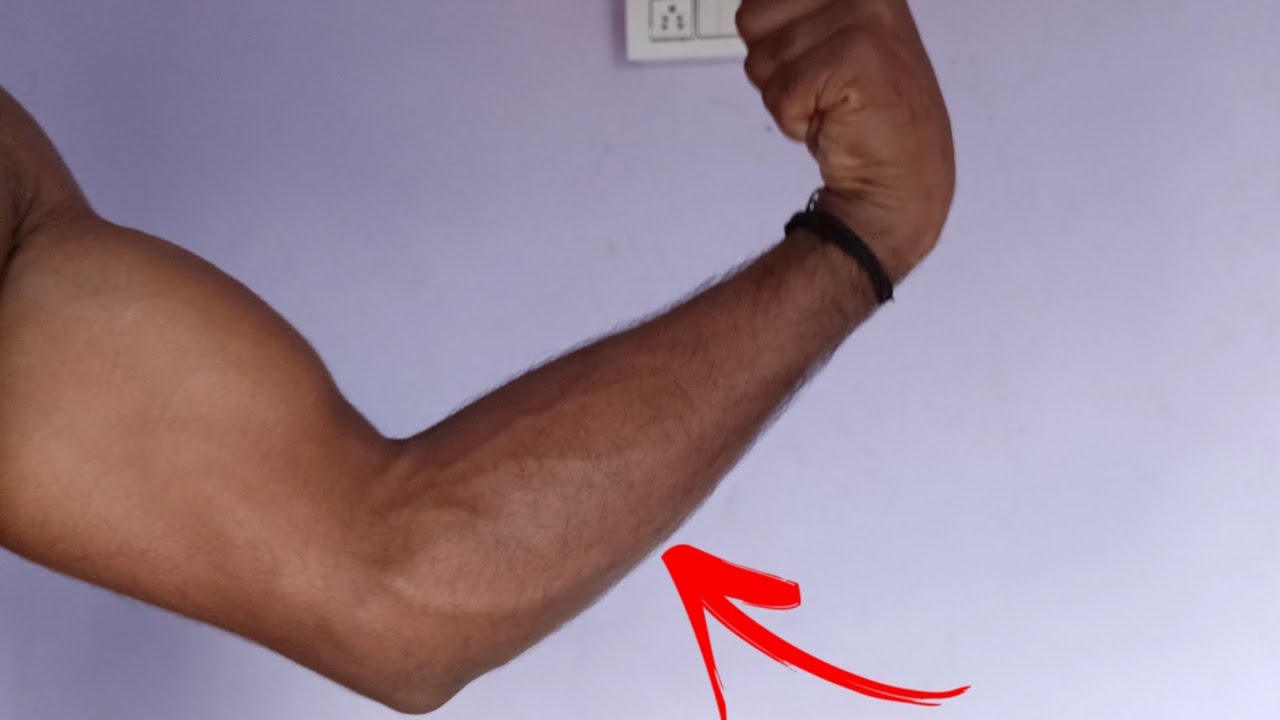 Bigger Forearms In 30 Days 🔥 (Home Workout ) - YouTube