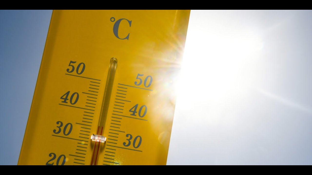 "Il fait vraiment trop chaud" : à Lyon, habitants et touristes fuient ...