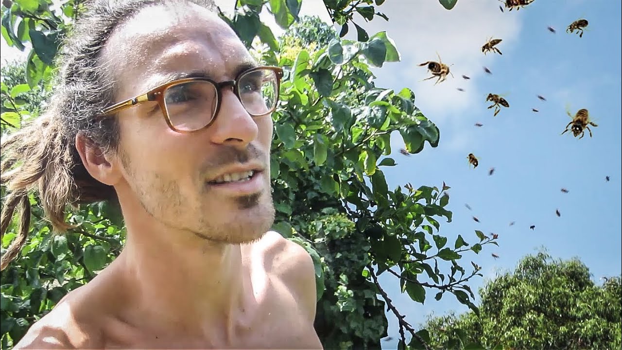 BEES ATTACK - YouTube