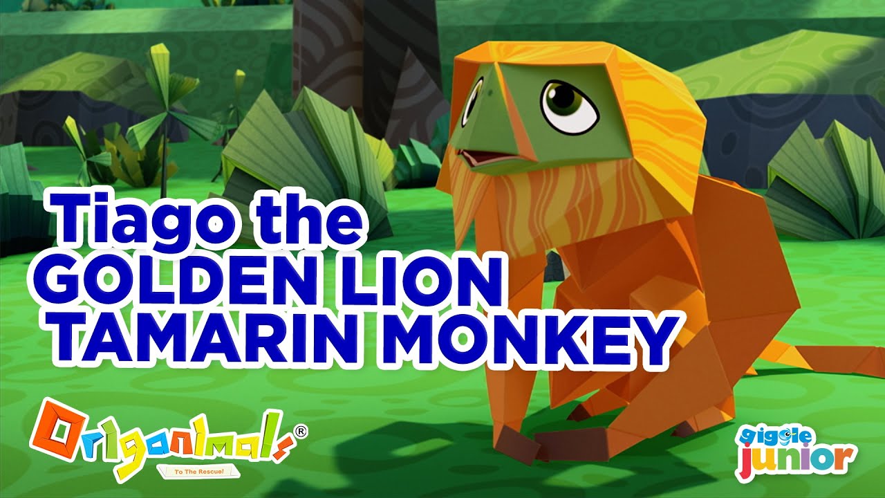 Eps 26. FUN CARTOON FOR KIDS | ORIGANIMALS | Tiago the Amazon monkey ...