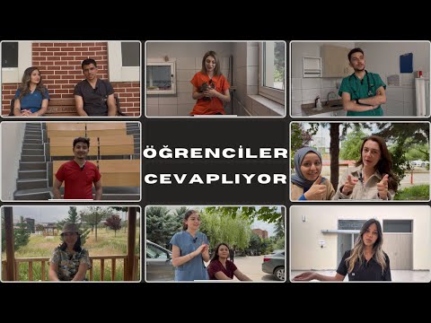 Veteriner fakültesini neden seçmelisiniz? Neden seçmemelisiniz? | Avantajları - Dezavantajları