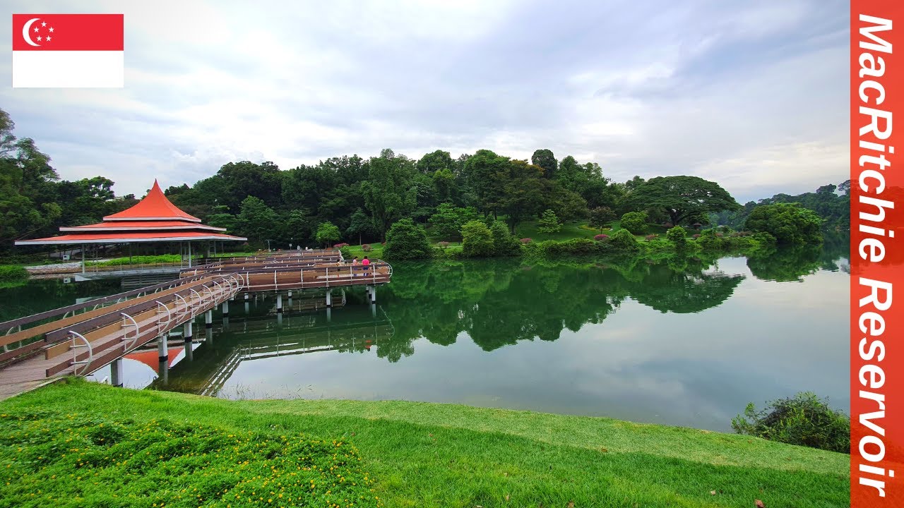 Exploring MacRitchie Reservoir - Hiking in Singapore - YouTube