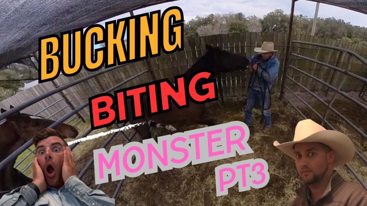 Ouch! She bit me! - YouTube