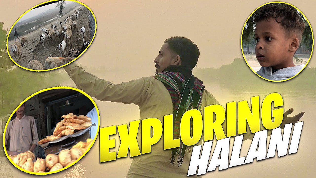 Exploring The Traditional Culture Of Sindh Halani | Wedding Vlog Faraz ...
