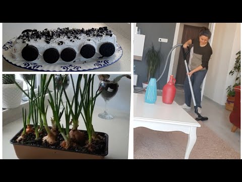 #GÜNLÜK  #VLOG  #TEMİZLİK   VE RULO  #KEK