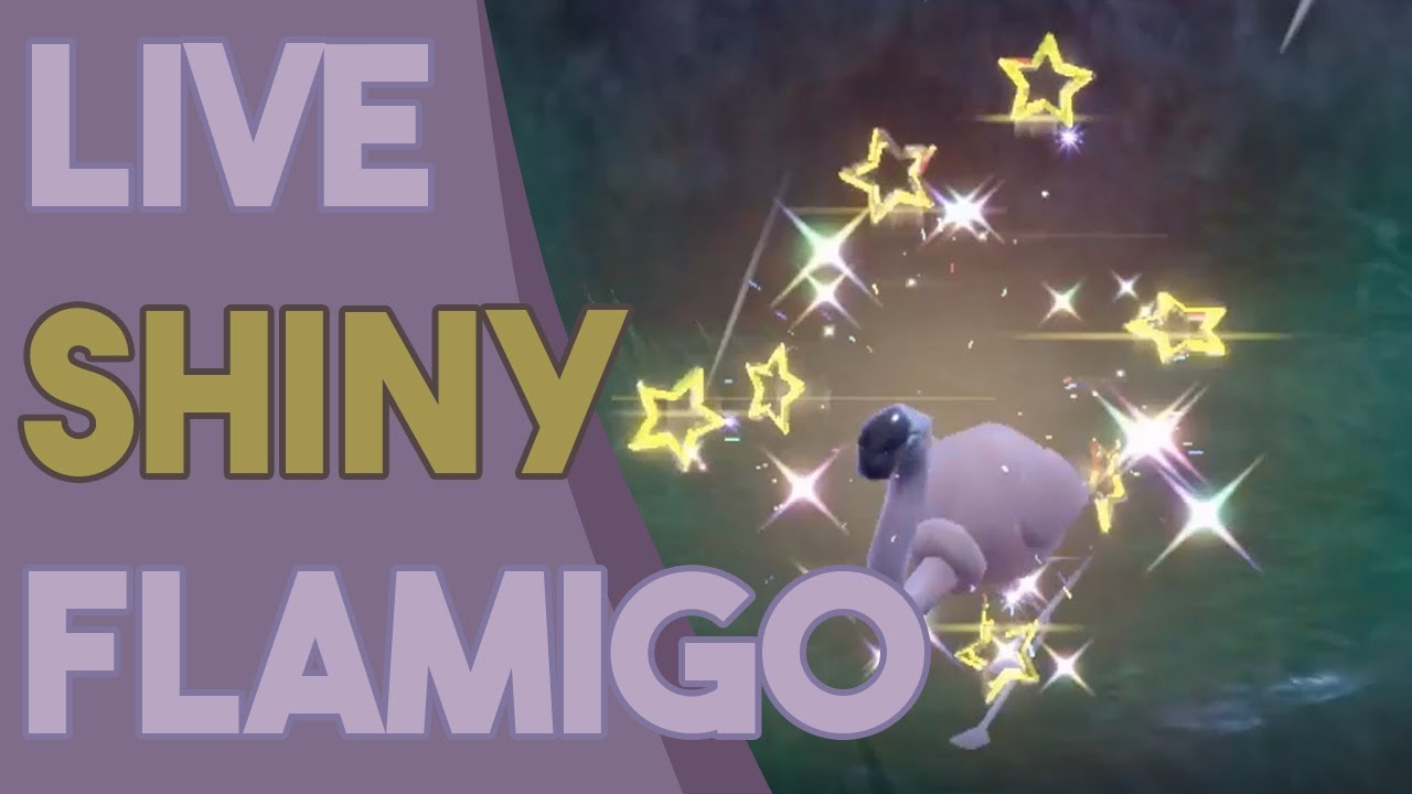 Live Shiny Flamigo! in Pokemon Scarlet! - YouTube