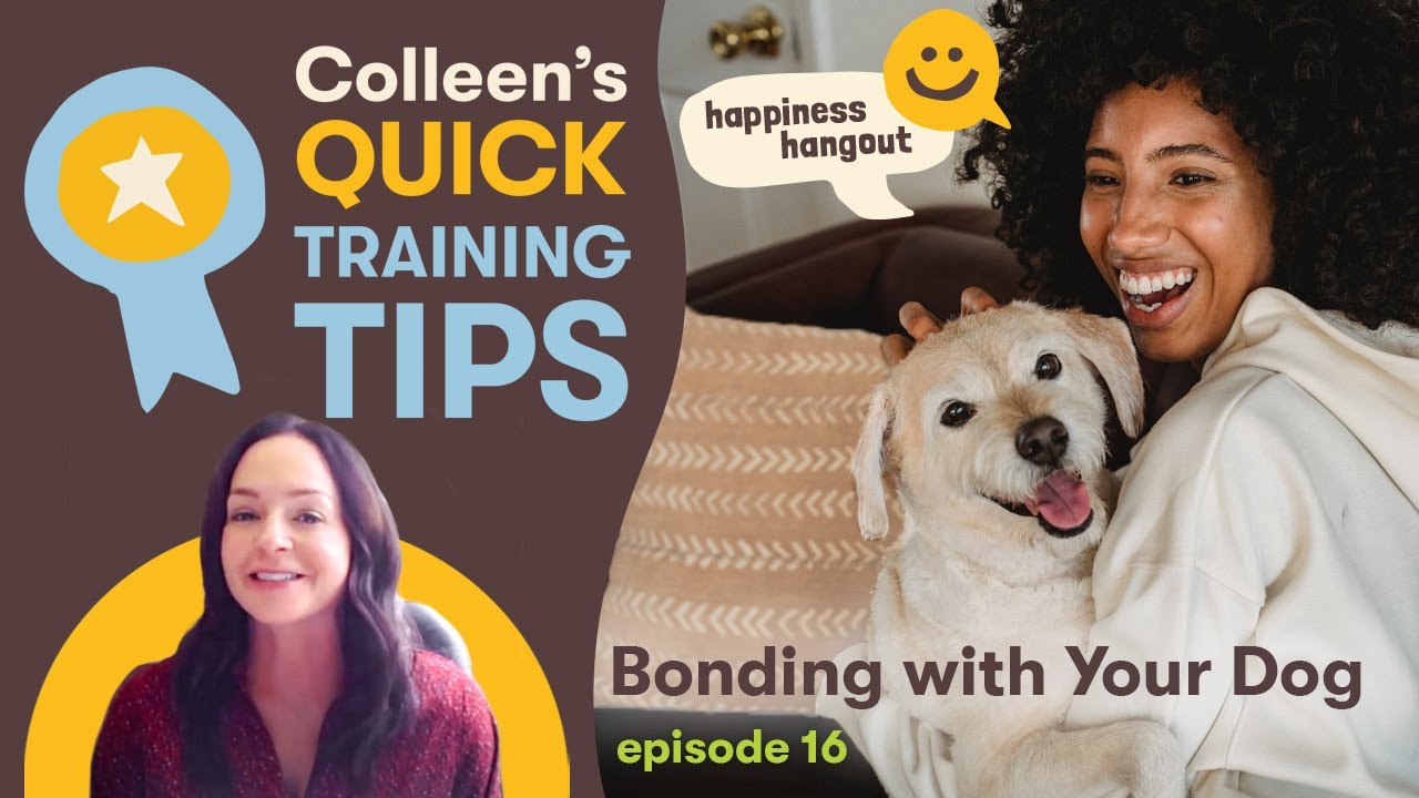 Bonding with Your Dog | Colleen's Quick Training Tips - YouTube