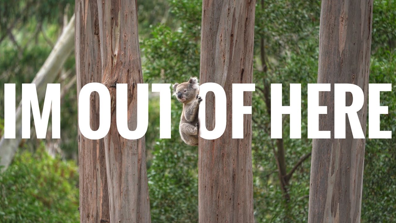 I'm out of here....... - YouTube
