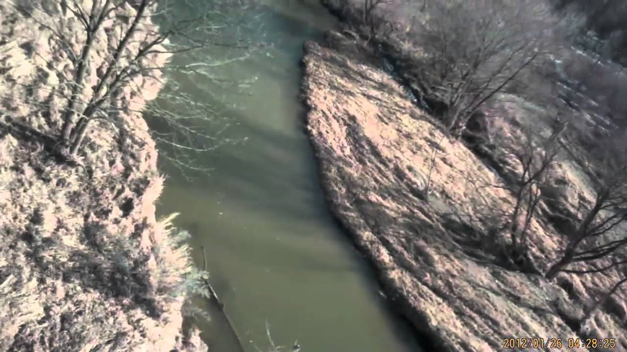 Red-Tail Hawk Falconry - YouTube