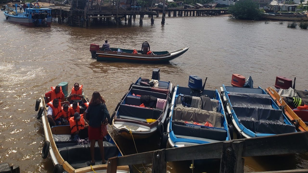 🇬🇾 🇬🇾 PARIKA STELLING RUSH/Travelling to Wakenaam. 🇬🇾 🇬🇾 - YouTube