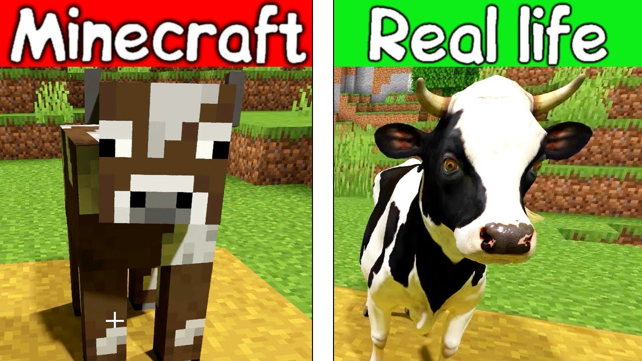 COW - Minecraft Vs Realistic - YouTube