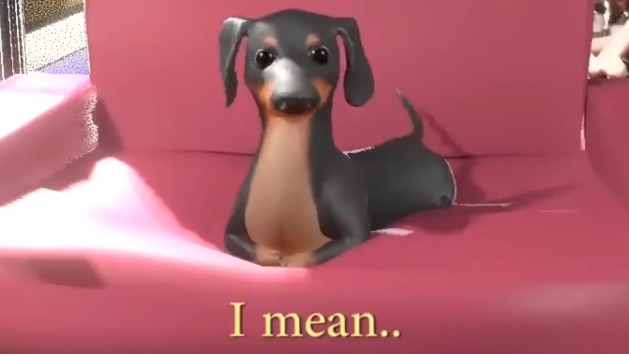 Dog of Wisdom: The Movie - YouTube