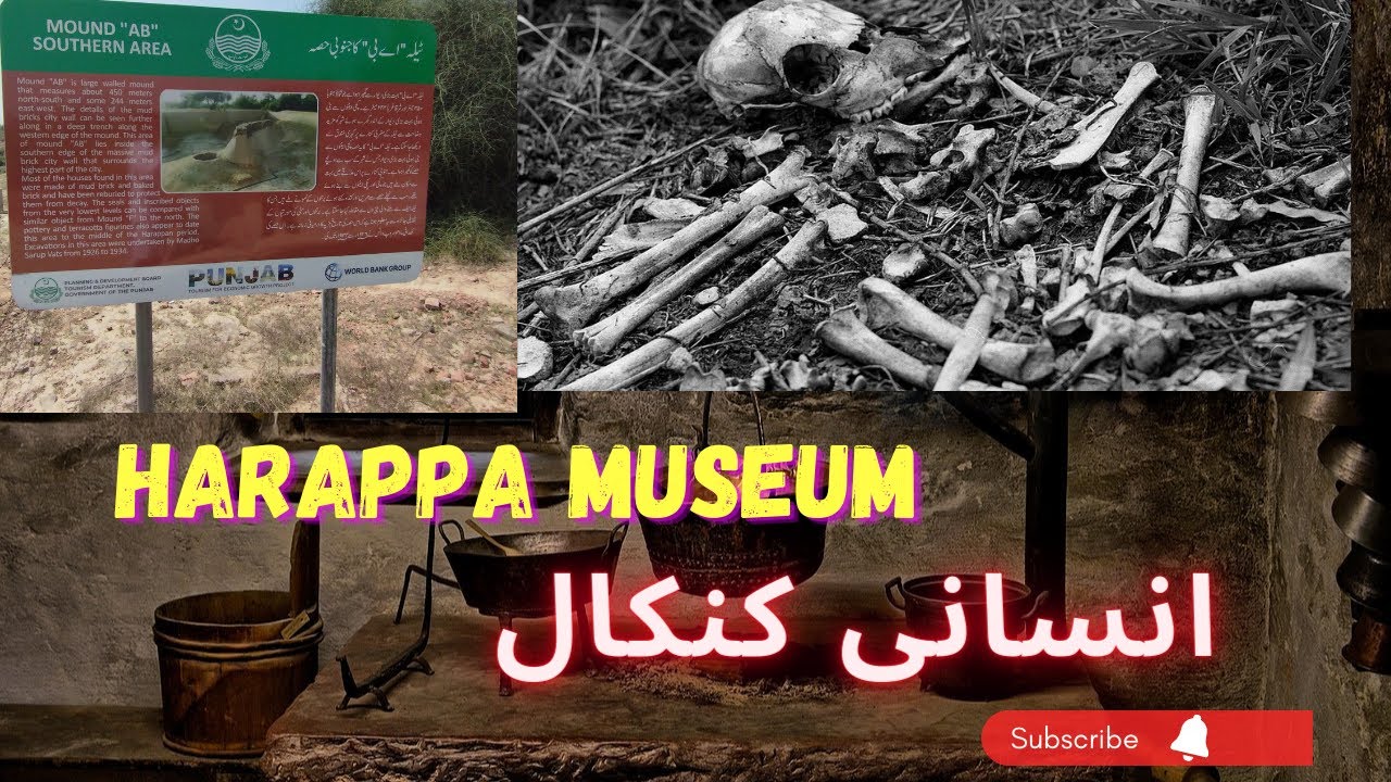Part 2: Exploring the Treasures of Harappa Museum | Uncovering the ...