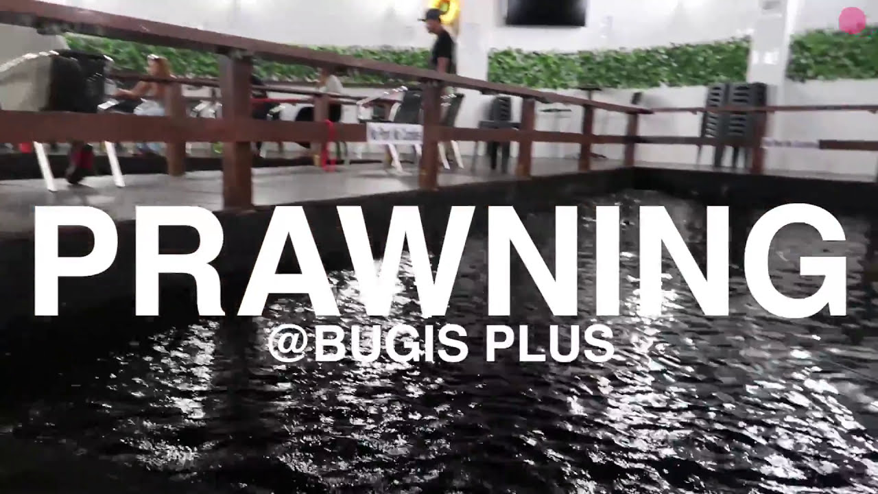HOW TO PRAWNING CATCHING LIVE PRAWNS AT BUGIS PLUS! - YouTube