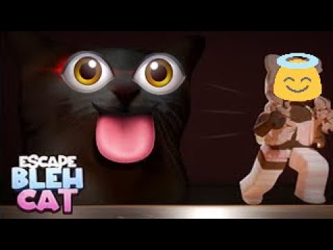 Escape bleh cat in roblox - YouTube