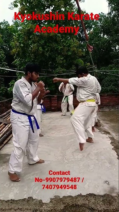 Kyokushin karate training/Kyokushin karate techniques - YouTube