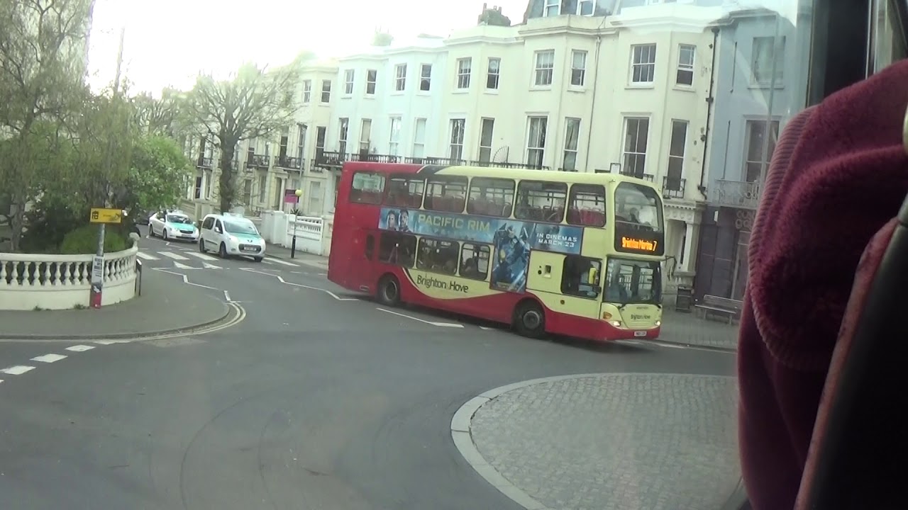 Foxy having a ride on Brighton and Hove bus route 7 from Brighton to ...