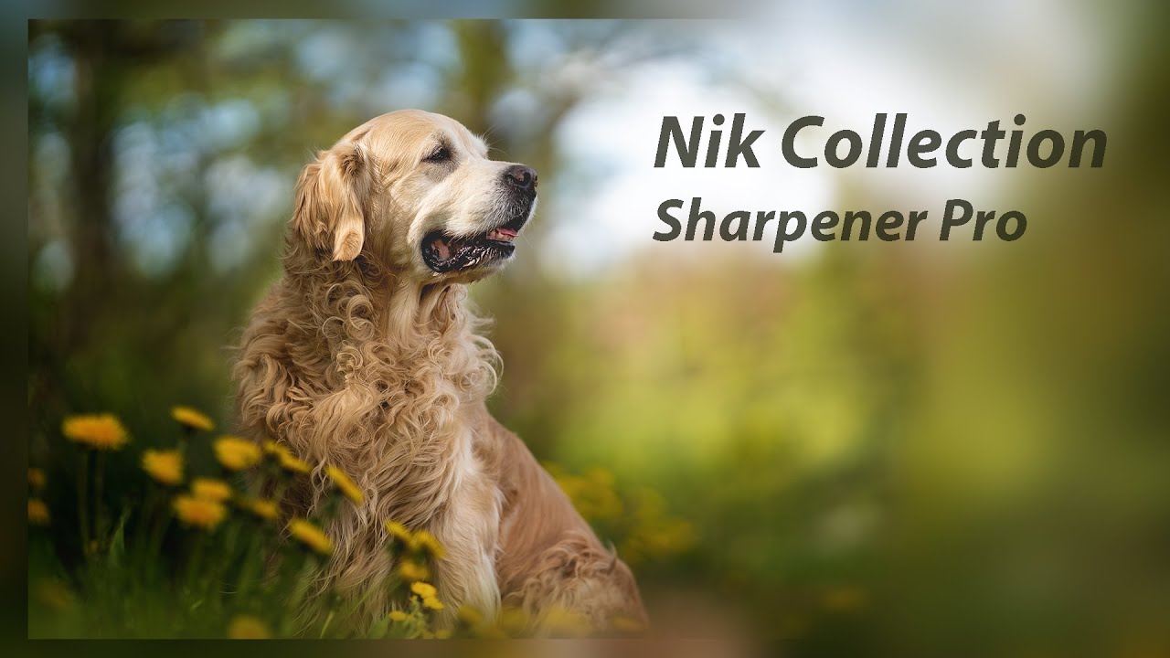 Nik Collection - selektivní doostřování pomocí Sharpener Pro - photoshop tutorial - YouTube
