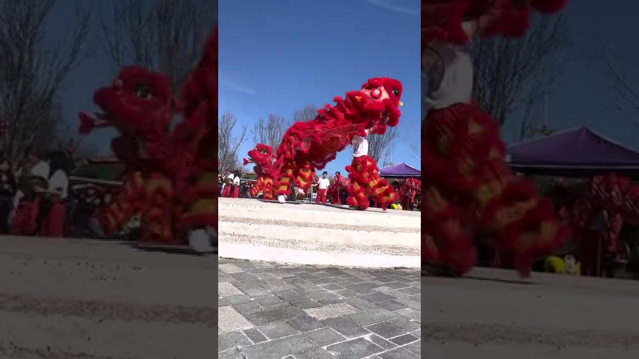 2022 Lucky land Houston lunar new year celebration lions and dragons ...