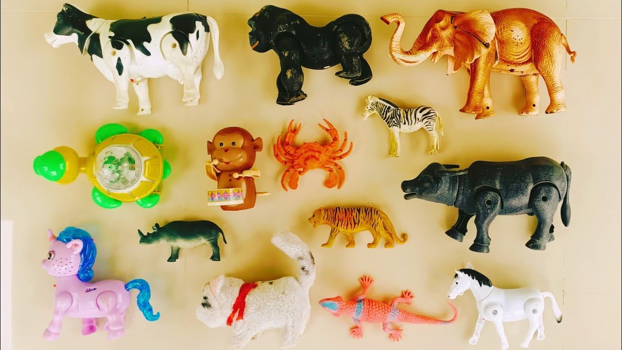 Menemukan Mainan Hewan Darat Sapi, Zebra, Badak Jawa, Kura-kura, Kucing ...