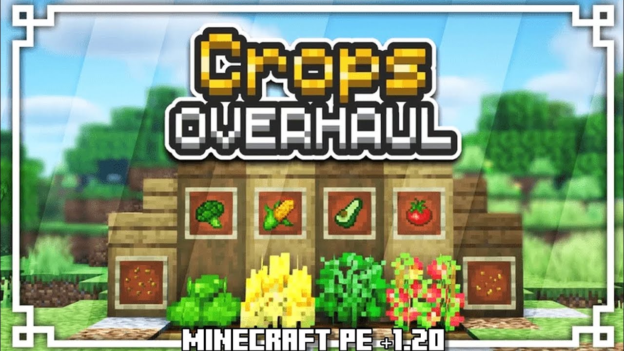🍅CROPS OVERHAUL for MINECRAFT PE / BEDROCK +1.20 #addons - YouTube