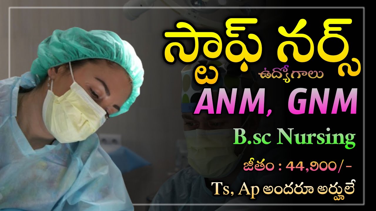 Staff nurse | ANM | GNM | Jobs | Govt |Apply | 2024 Latest jobs ts ap ...