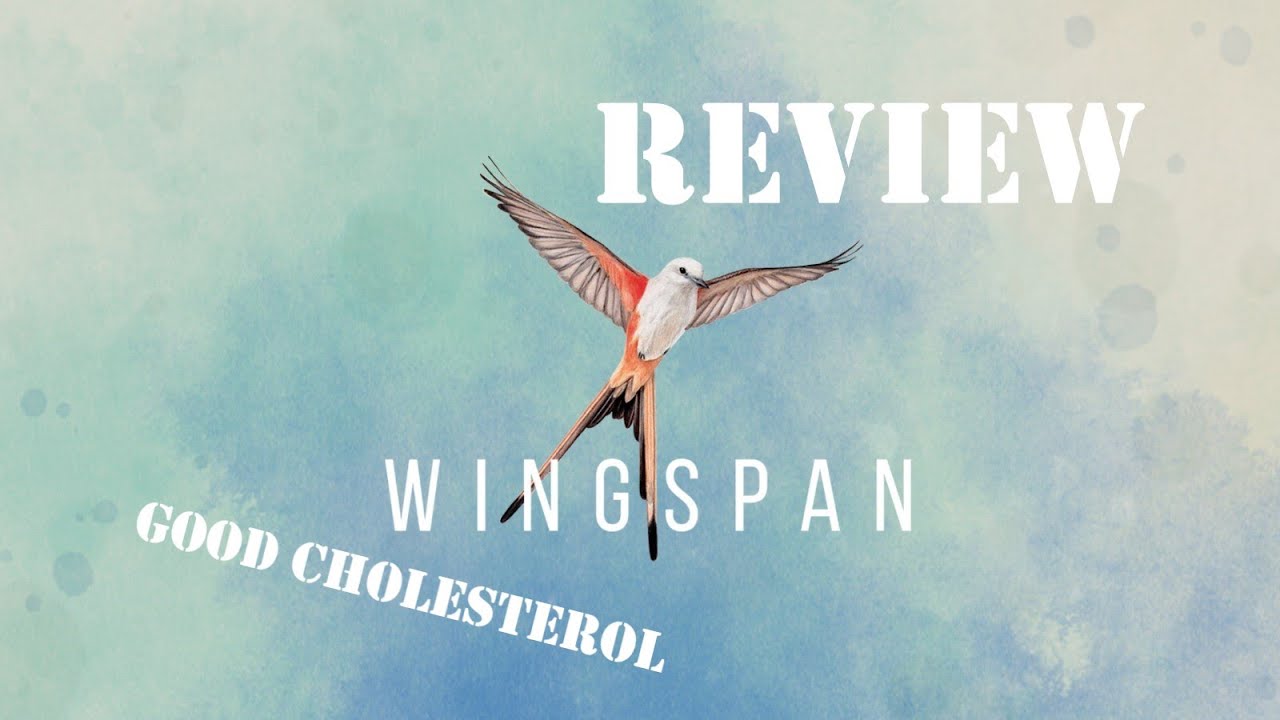 Wingspan PC Review! Better than the Board Game? - YouTube