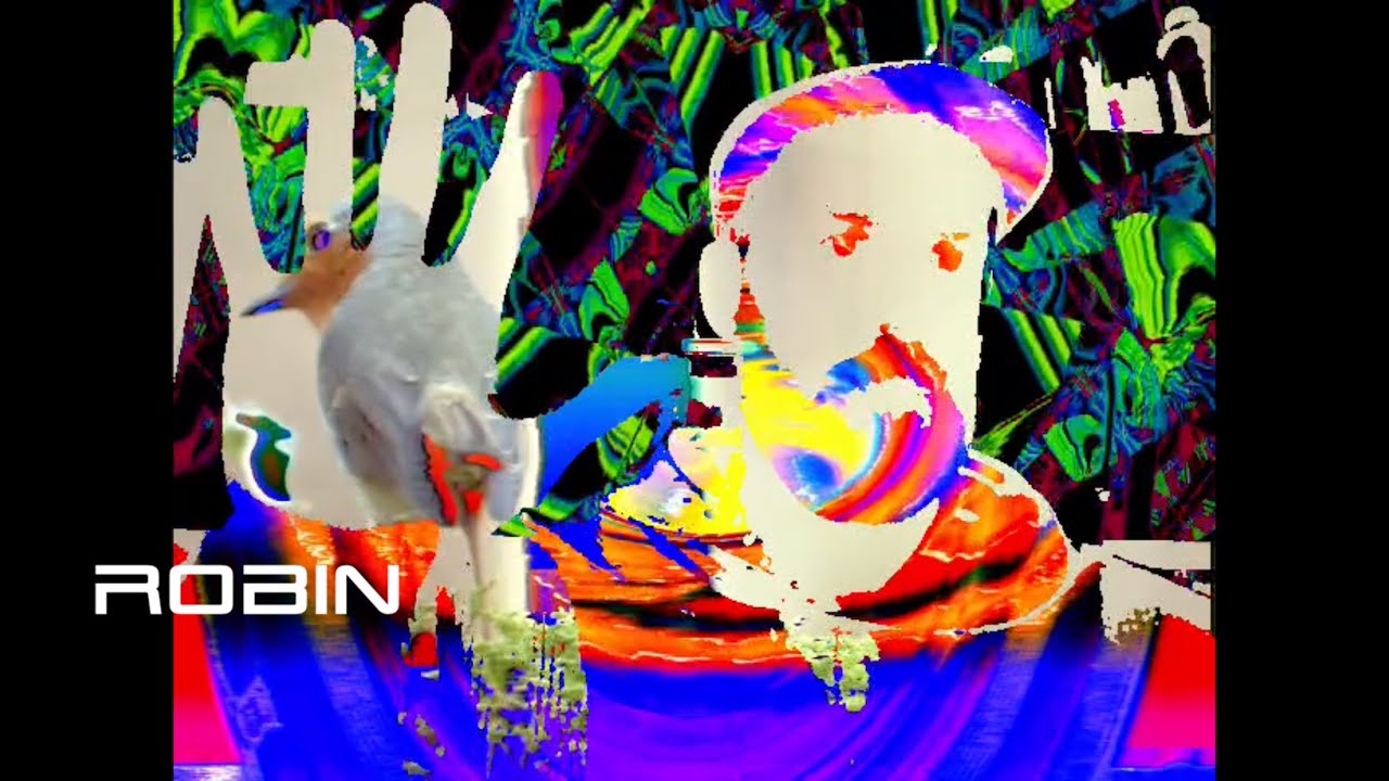 ROBIN - VIDEO ART - VIDEO SYNTH - EXPERIMENTAL ELECTRONIC ARPEGGIO - FLASH SYNTH - YouTube