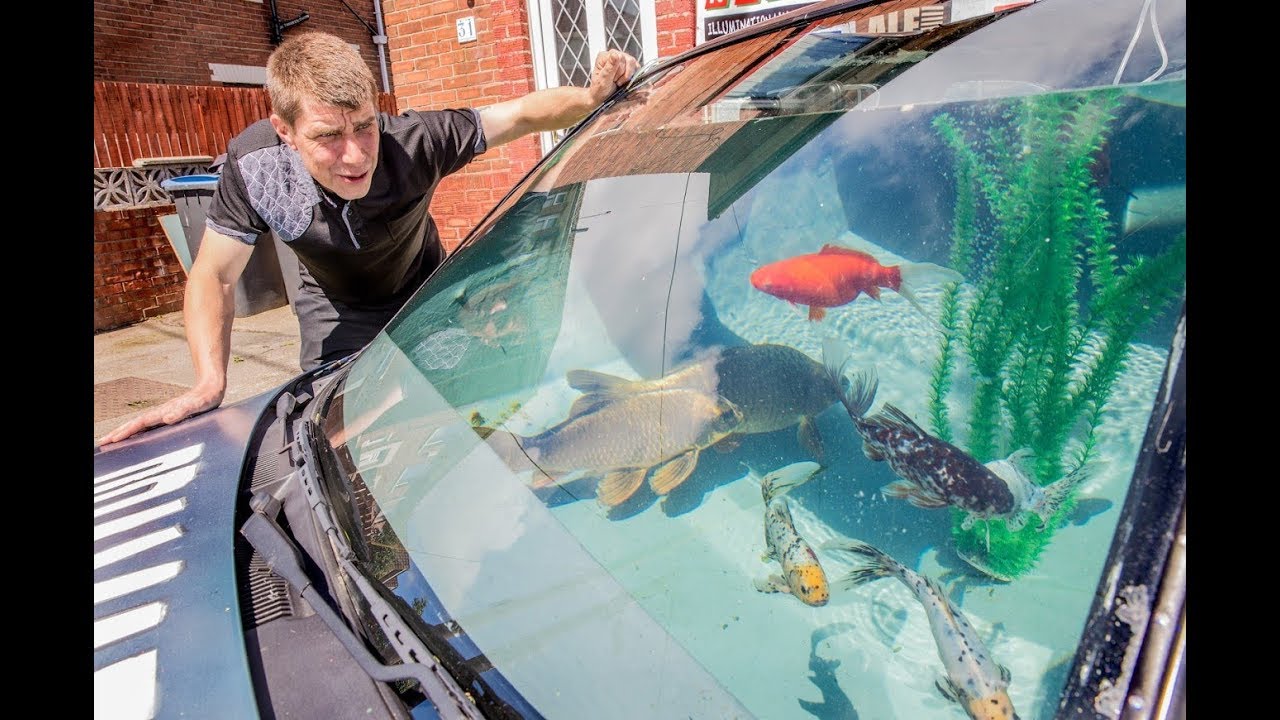 Man from Dramatic Aquatics turns Nissan Micra into fish tank - YouTube