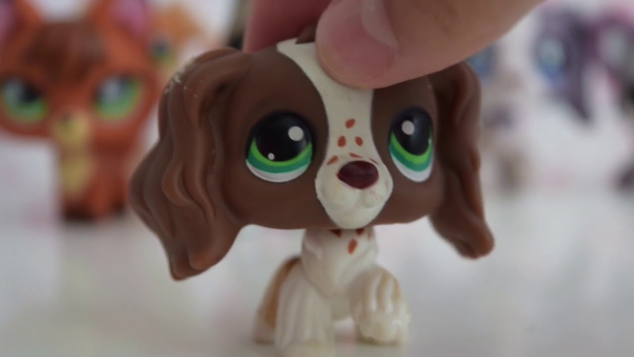 LPS: Trade Package #3! || New Lps #15 - YouTube