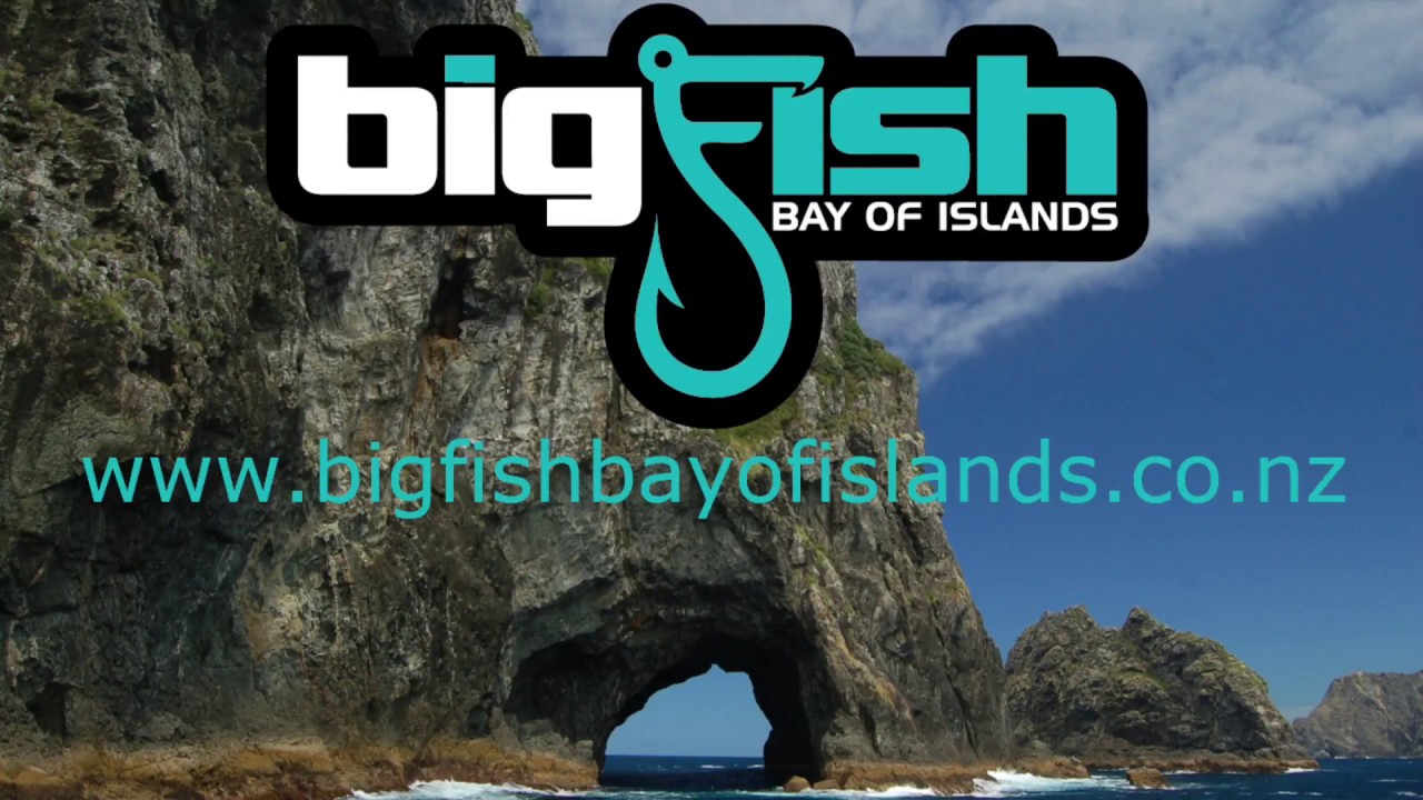 Big Fish Bay of Islands - YouTube