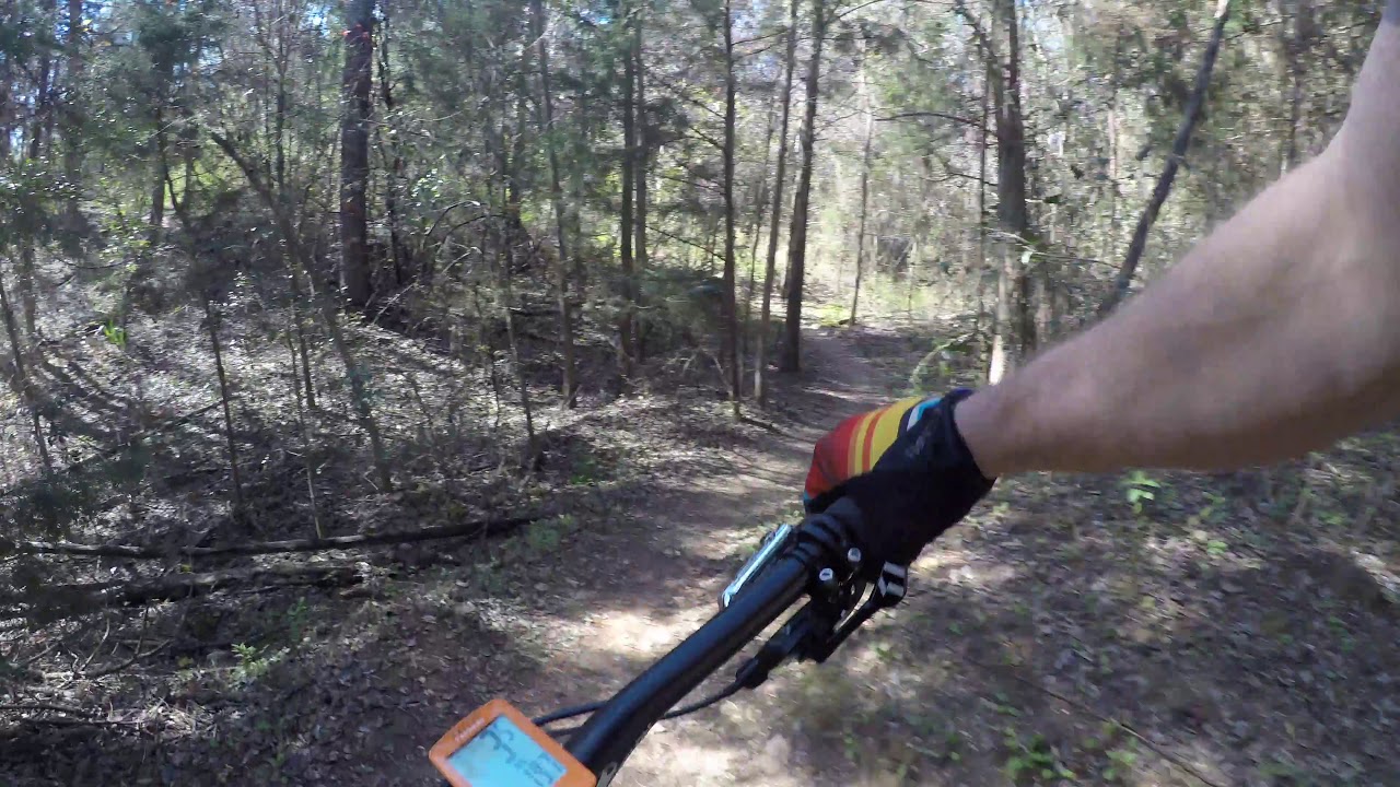 SANTOS MTB TRAILS, OCALA FL. - YouTube
