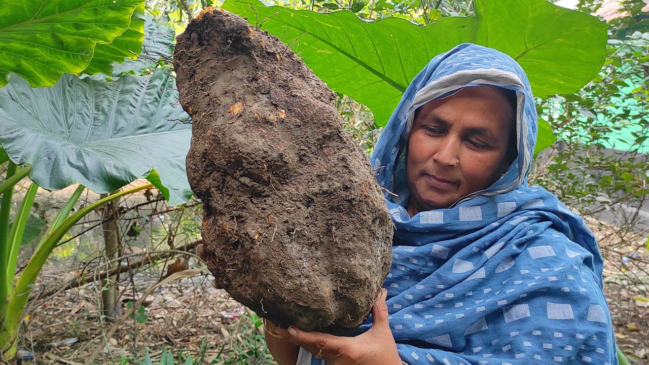 Purple Yum with Egg Cooking Recipe || Mete Alu Curry - YouTube