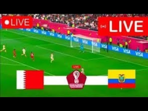 بث مباشر قناة بي ان سبورت ماكس 1 live bein sport Max | Fifa World Cup Live Today Match